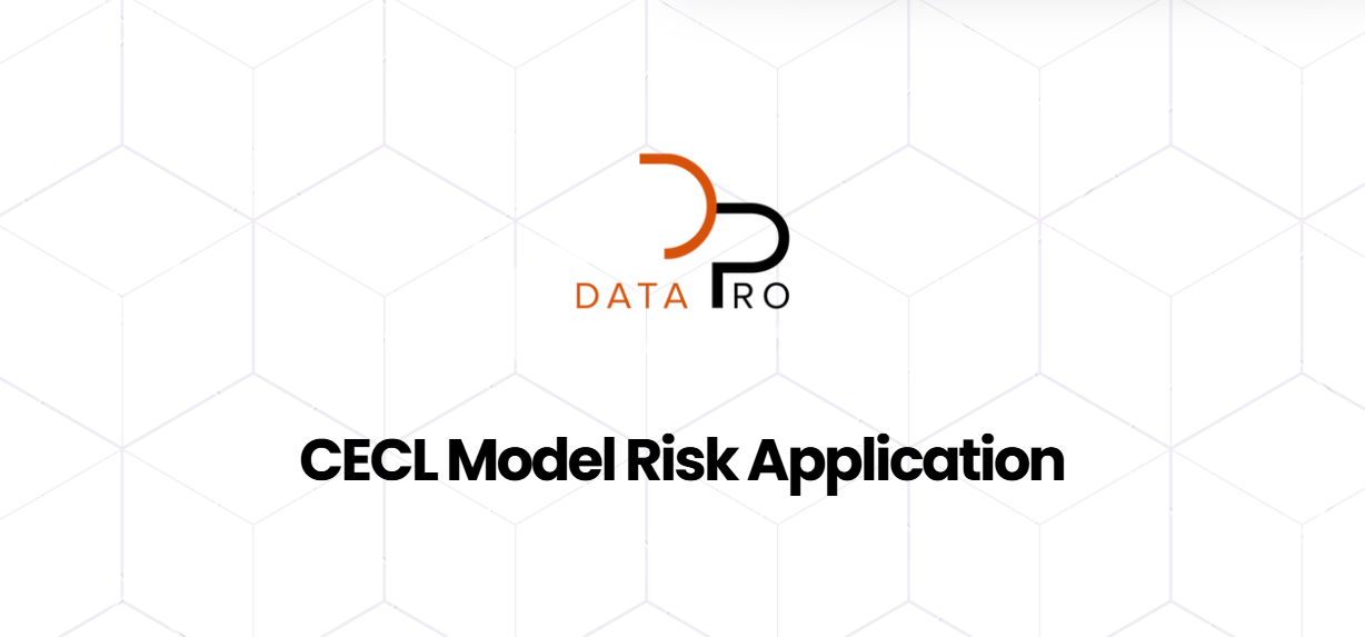 CECL Model Risk Application - Data Pro Software Solutions